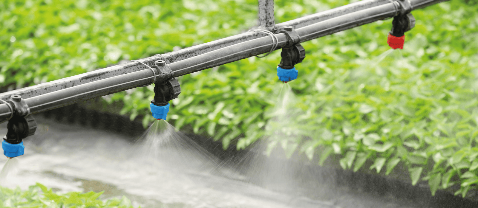 Andy's Irrigation Services in Perth